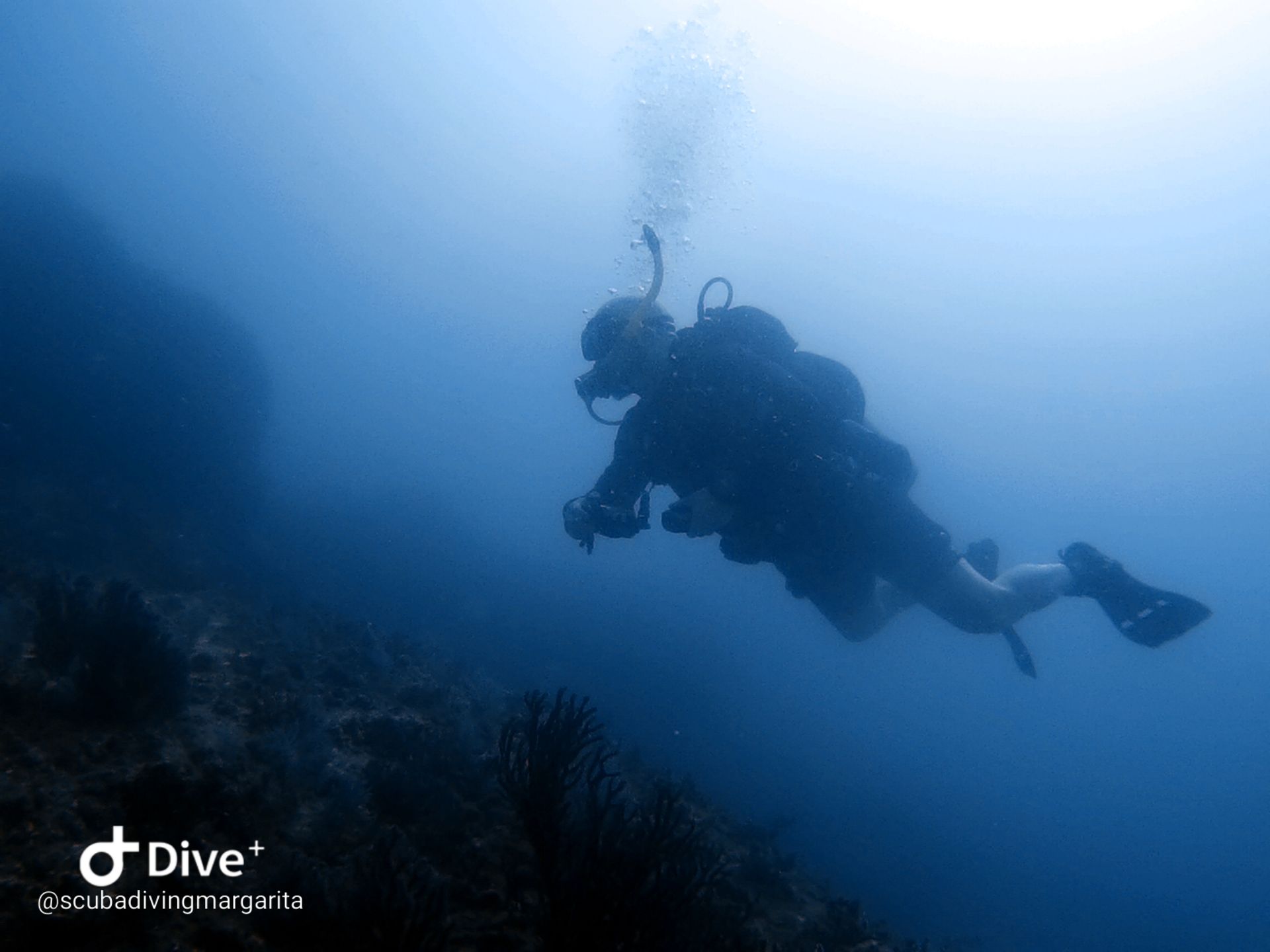 Curso SSI Deep Diving / Buceo Profundo