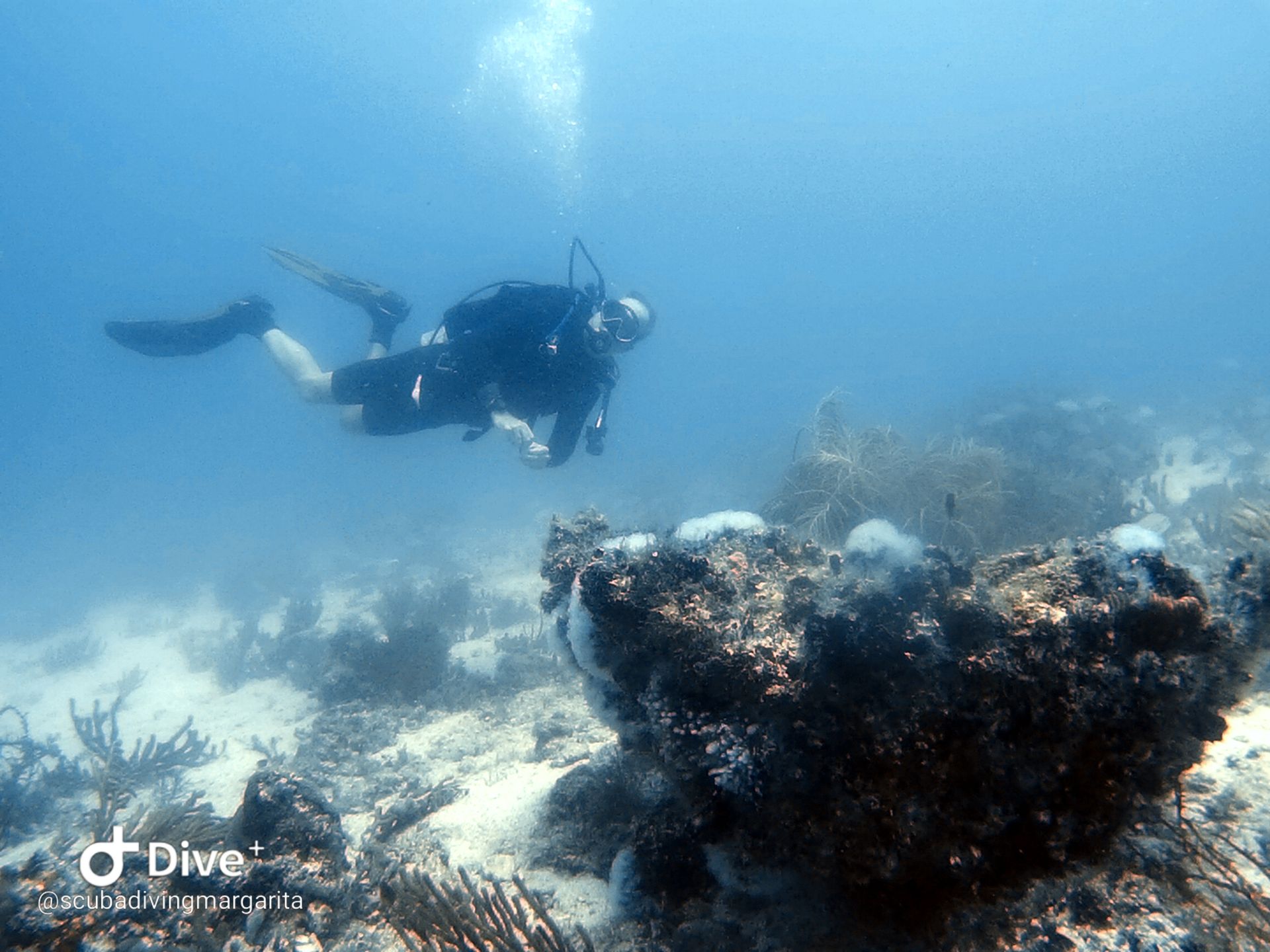 Curso SSI Perfect Buoyancy / Flotabilidad Perfecta